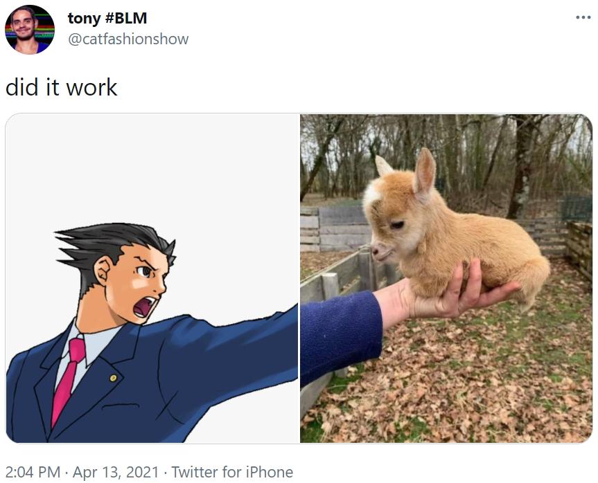 Did it work | Twitter Image Combination Memes | Know Your Meme