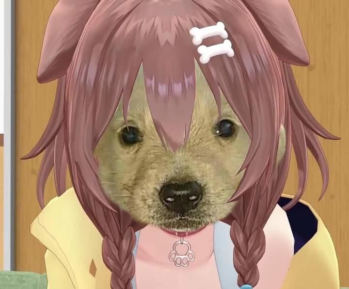 anime perro | Jotchua | Know Your Meme