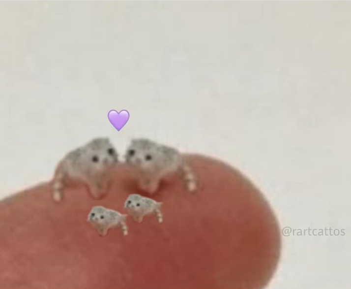 el wiwi family | El Wiwi | Know Your Meme