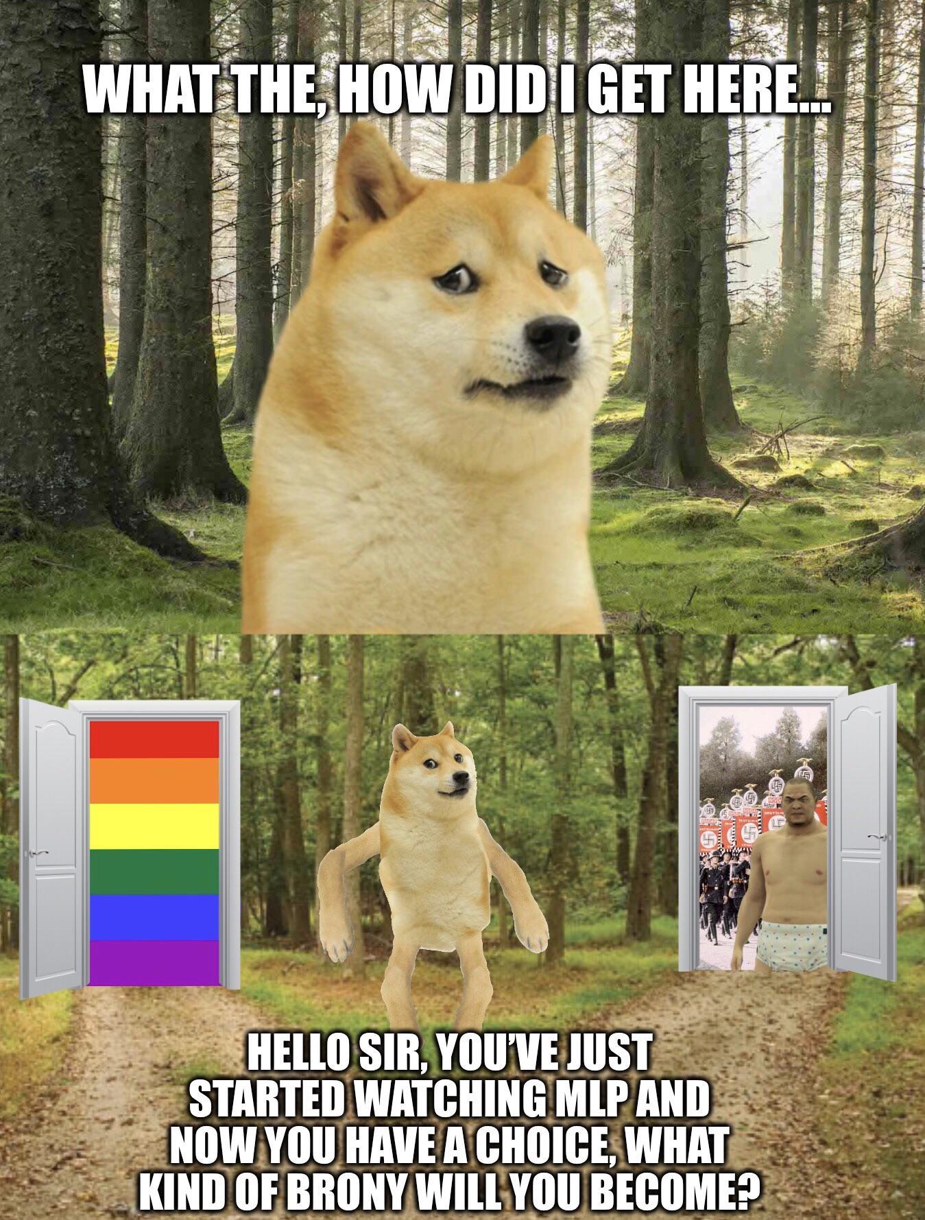 Le only 2 paths have arrived | /r/dogelore | Ironic Doge Memes | Know ...
