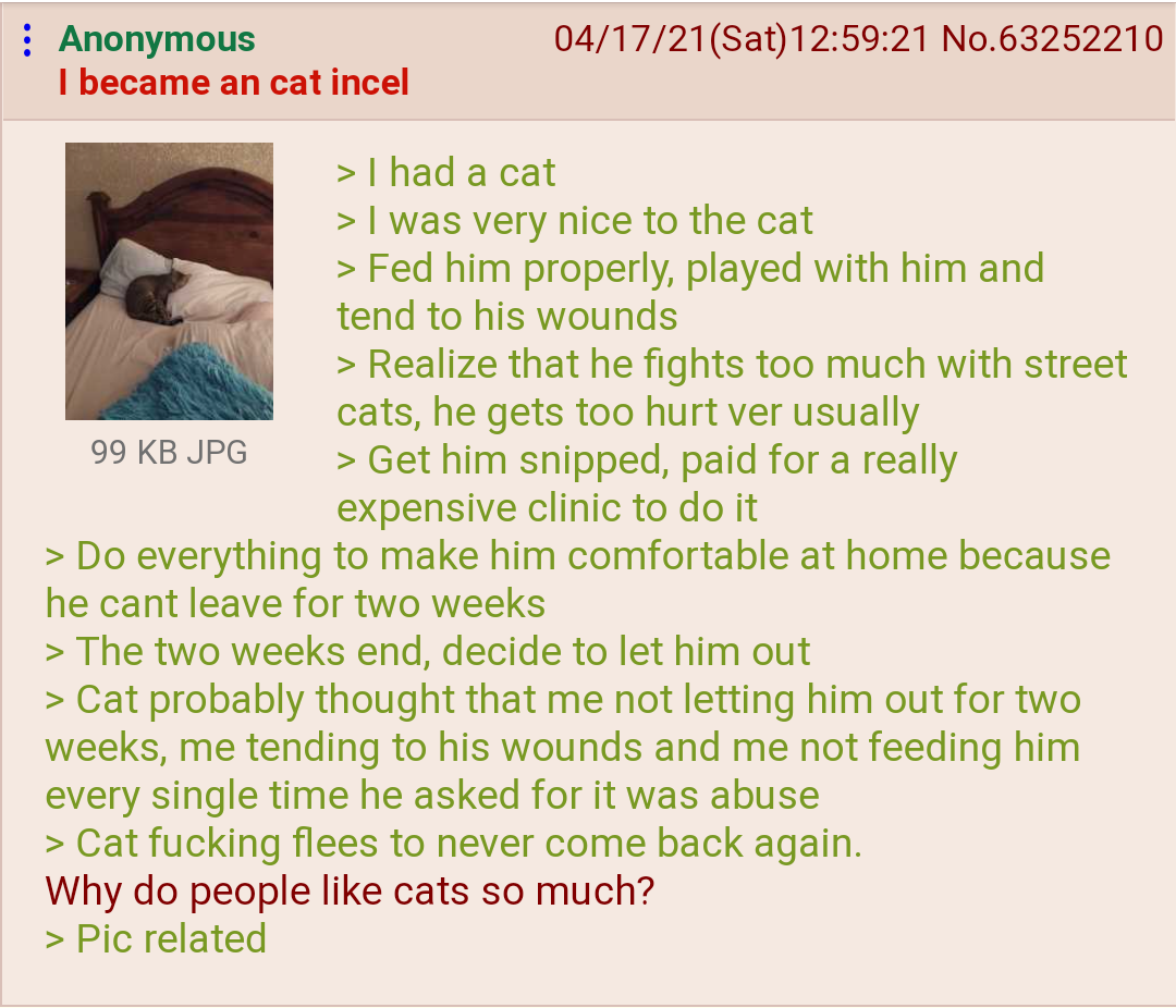 Anon had a cat | /r/Greentext | Greentext Stories | Know Your Meme