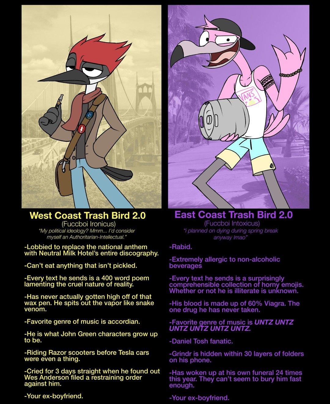 Trashbirds bizzaro version | Happyroadkill | Know Your Meme