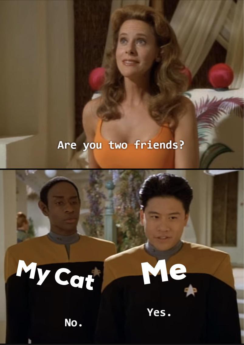 We’re best friends! | /r/wholesomememes | Are You Two Friends? | Know ...