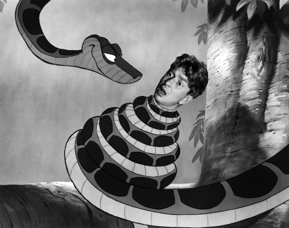 Kaa hypnotizes himself | Kaa Hypnosis | Know Your Meme