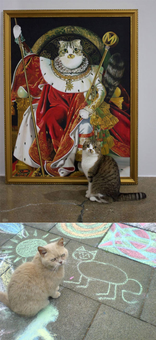 Portraits | Cats | Know Your Meme