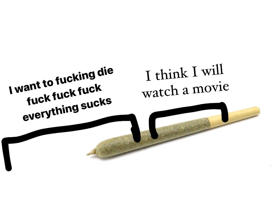 Movie Time | Sections of a Joint | Know Your Meme