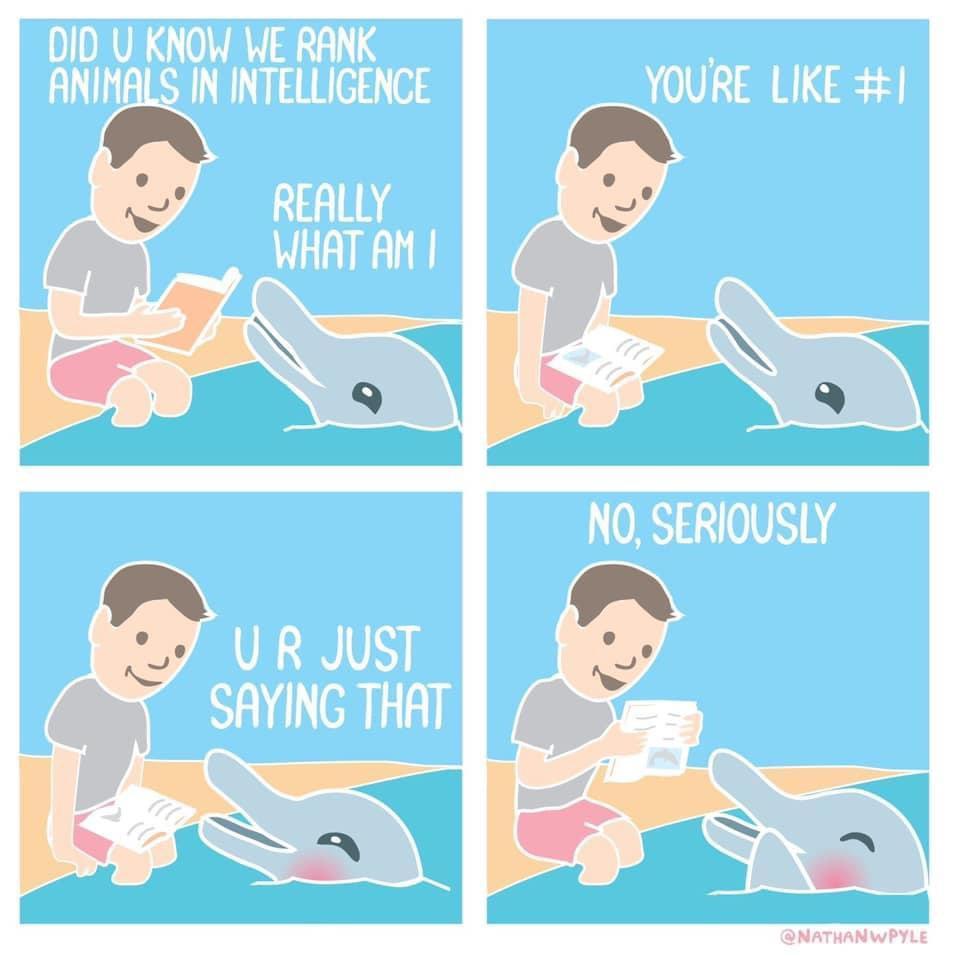 You’re number 1! | /r/wholesomememes | Wholesome Memes | Know Your Meme