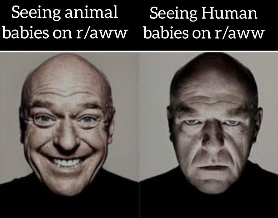 Only One Sparks Joy | Dean Norris' Reaction | Know Your Meme