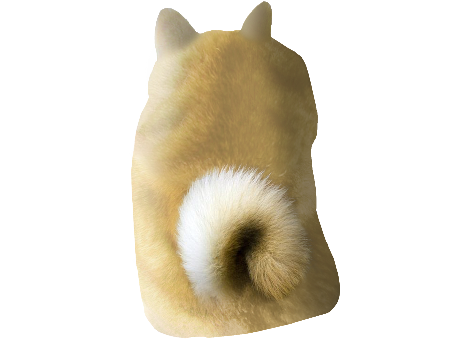 Le New doge back has arrived | /r/dogelore | Ironic Doge Memes | Know ...