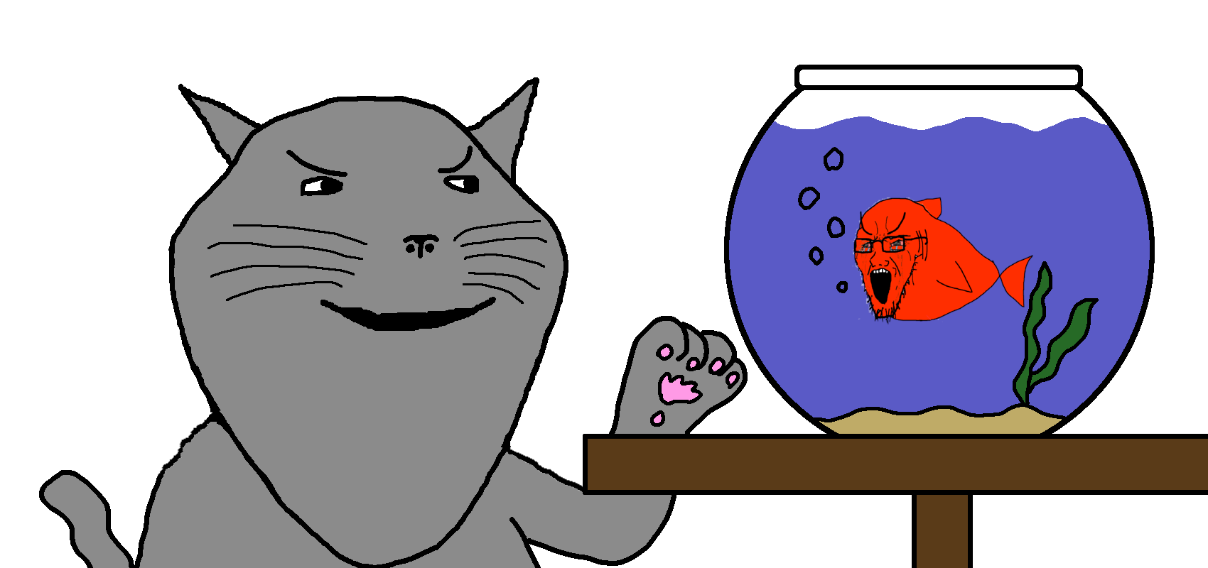 Soycat eyes his prey | Soy Boy Face / Soyjak | Know Your Meme