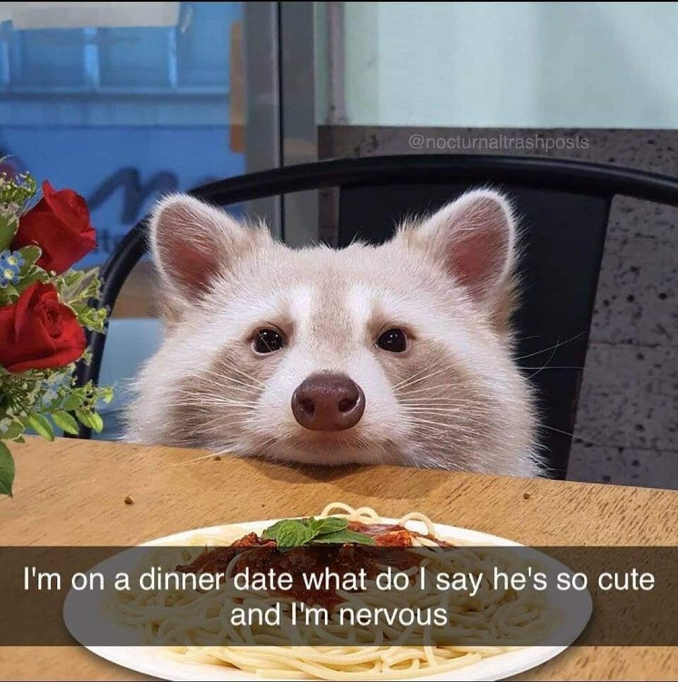 A Cute Date | Know Your Meme