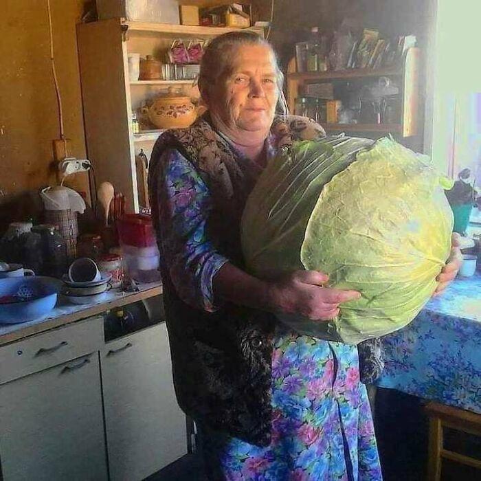 huge cabbage | Absolute Unit | Know Your Meme