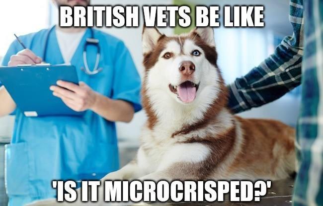 It's Chewsday innnit | /r/okbuddyretard | OkBuddyRetard | Know Your Meme