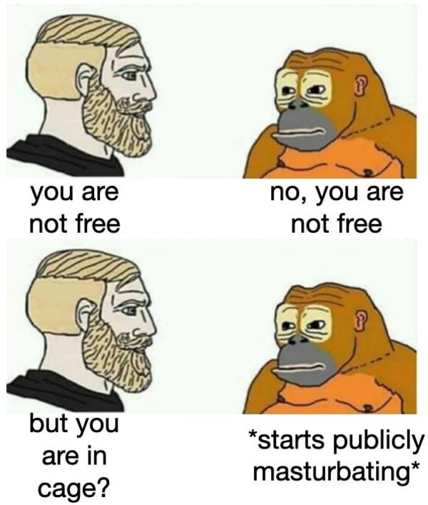 You Are Not Free / No, You Are Not Free | You're Such a Dumb Animal ...