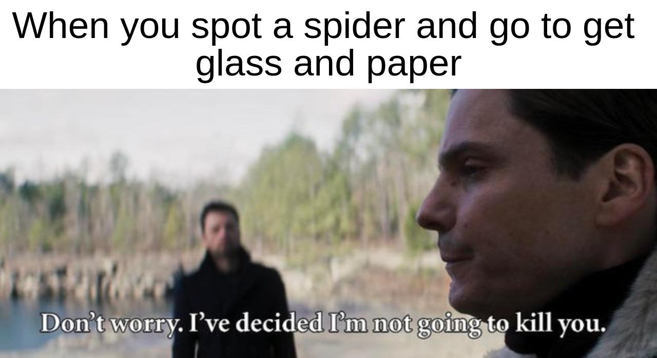 Don't kill spiders | /r/wholesomememes | Wholesome Memes | Know Your Meme