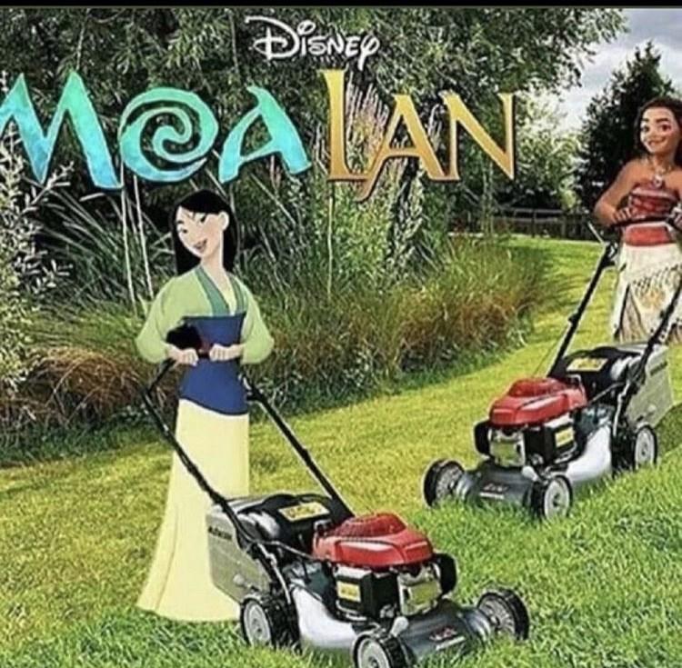 lawn mower | Disney | Know Your Meme