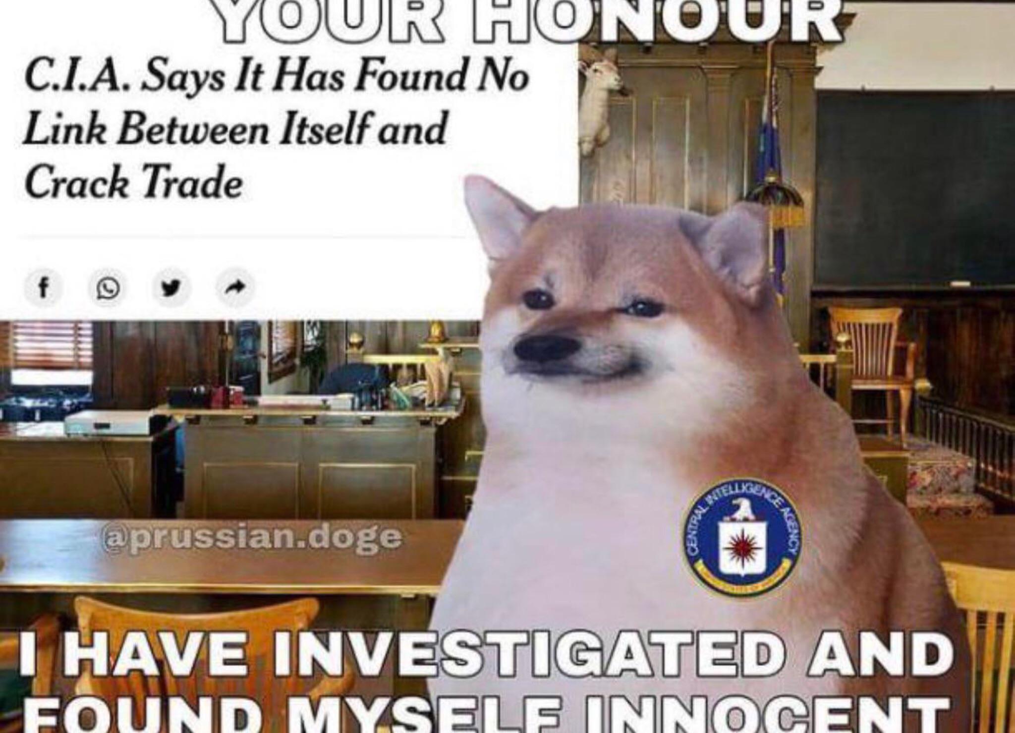 Le Investigation | /r/dogelore | Ironic Doge Memes | Know Your Meme