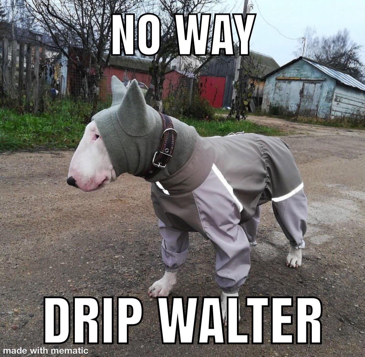 drip Walter | /r/okbuddyretard | OkBuddyRetard | Know Your Meme