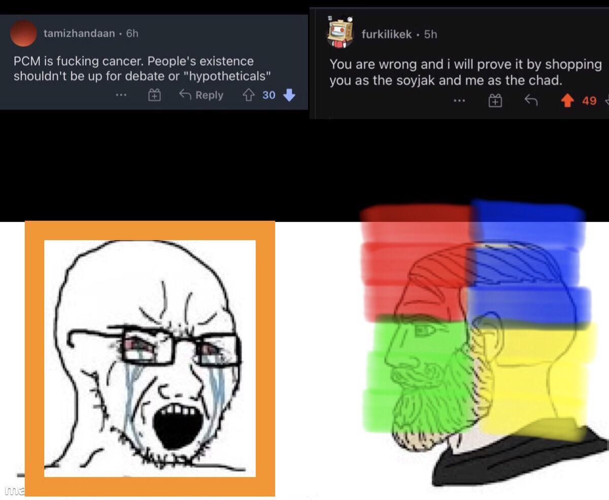 Soyjack hater vs Chad PCM enjoyer | /r/PoliticalCompassMemes ...
