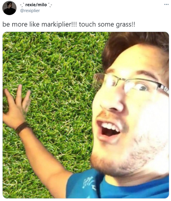 be more like markiplier!!! touch some grass!! | Touch Grass | Know Your ...