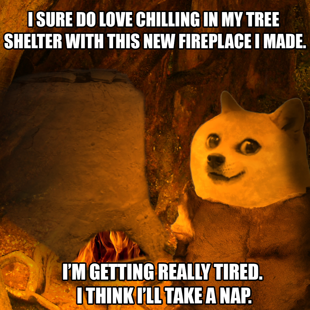 Doge Reading Meme