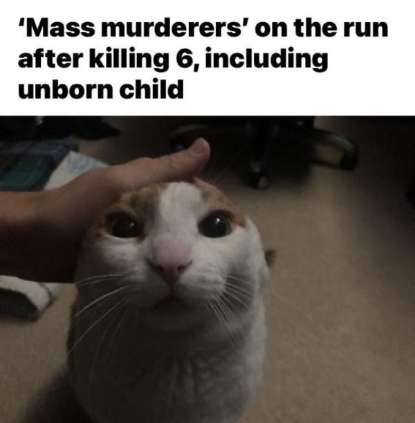 'Mass Mudreres' on the Run After Killing 6, Including Unborn Child | Me ...