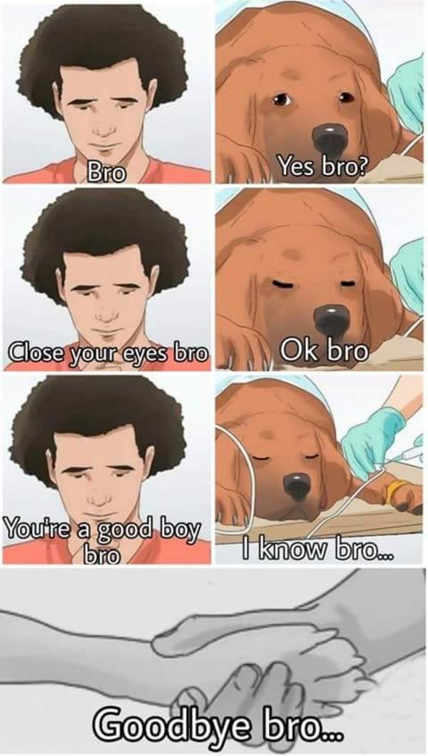 goodbye, bro | Close Your Eyes, Bro | Know Your Meme