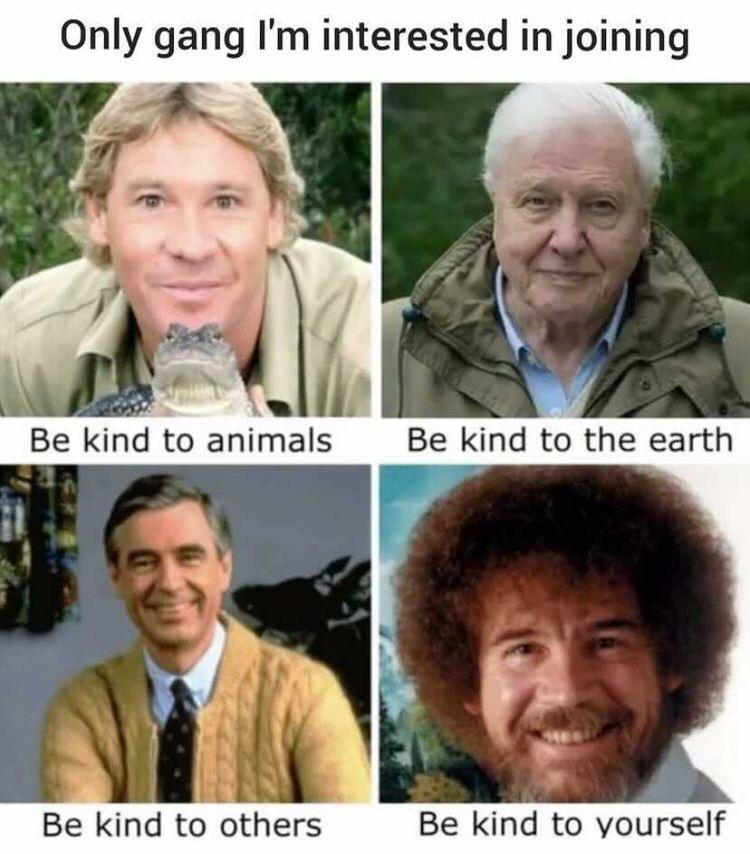 I’m joining a gang, y’all in? | /r/wholesomememes | Wholesome Memes ...