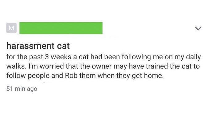 Cat Burglar | Know Your Meme