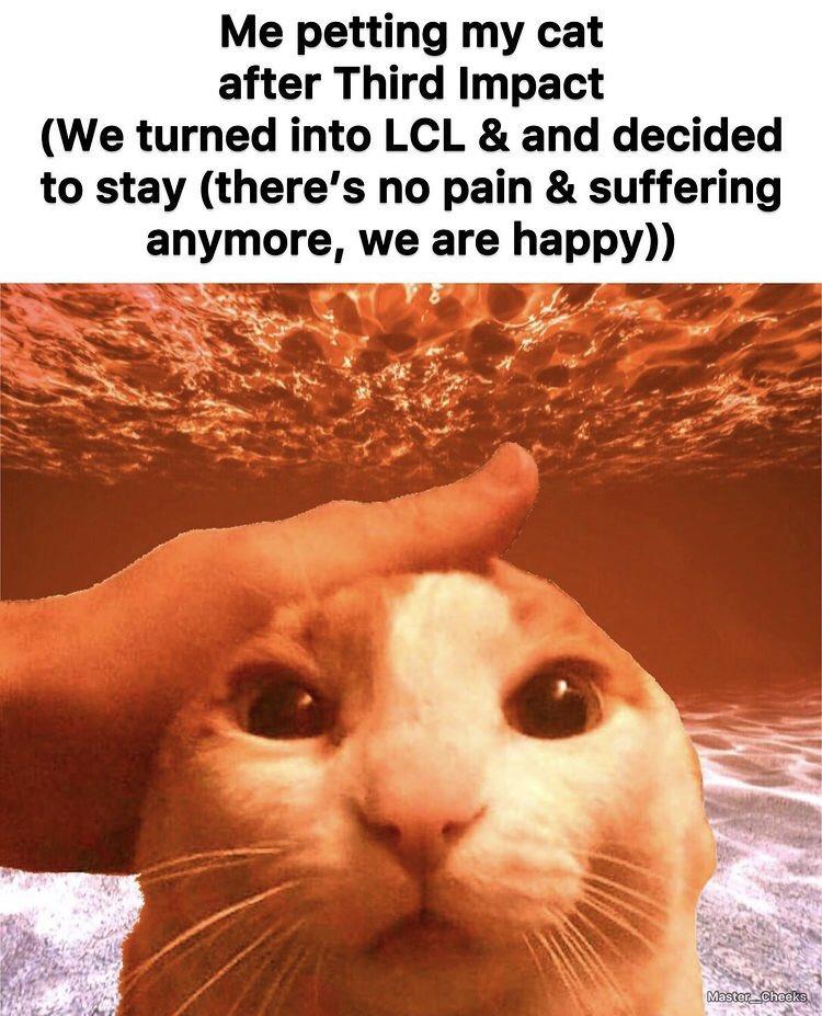 Me Petting My Cat After the Third Impact | Me Petting My Cat Before the ...
