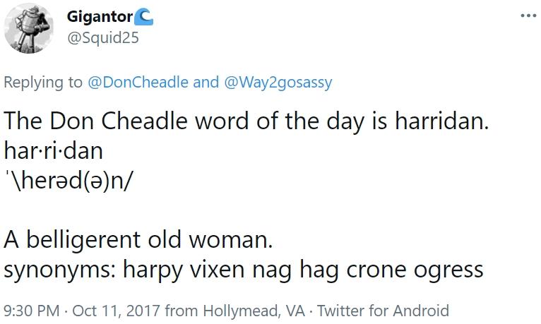 The Don Cheadle word of the day is harridan. | Don Cheadle Word of the ...