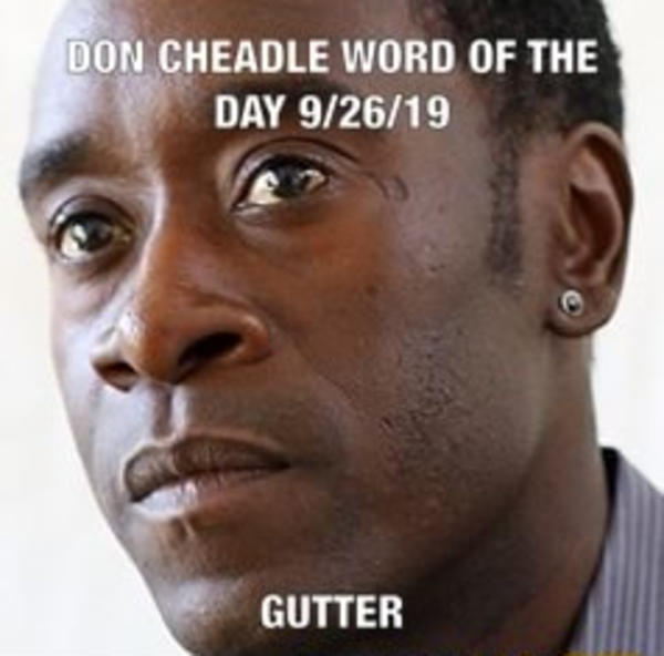 Don Cheadle Word of the Day 9/26/19: Gutter | Don Cheadle Word of the ...