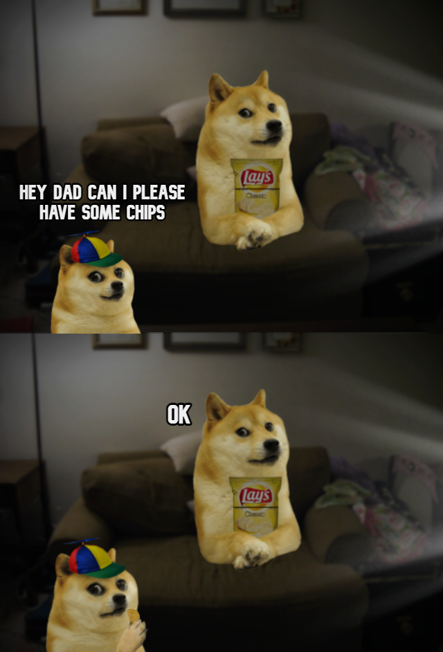 Le family sized chips have arrived | /r/dogelore | Ironic Doge Memes ...