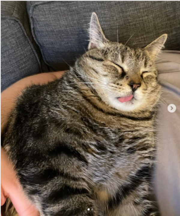Sound Asleep | Mlem | Know Your Meme