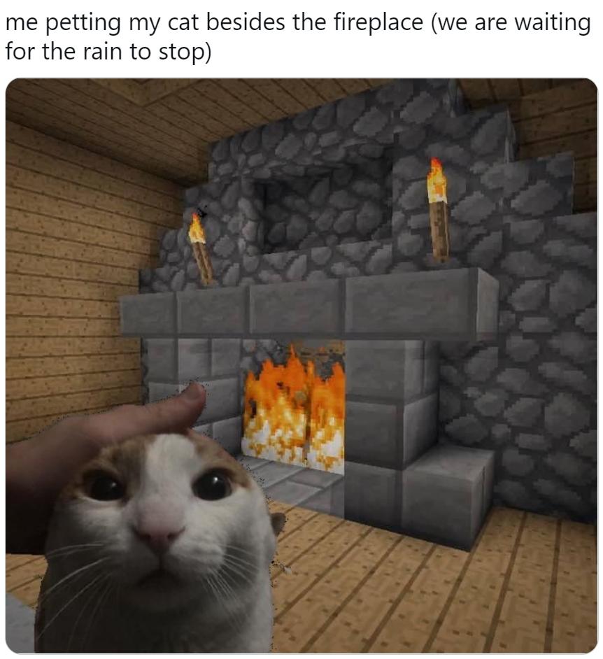 me petting my cat besides the fireplace (we are waiting for the rain to ...