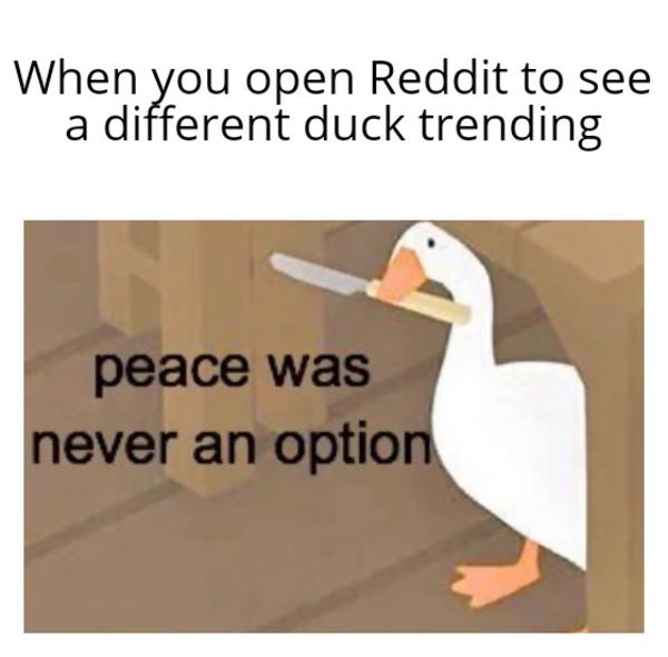 I believe in Duck supremacy | /r/dankmemes | When X / X When | Know ...