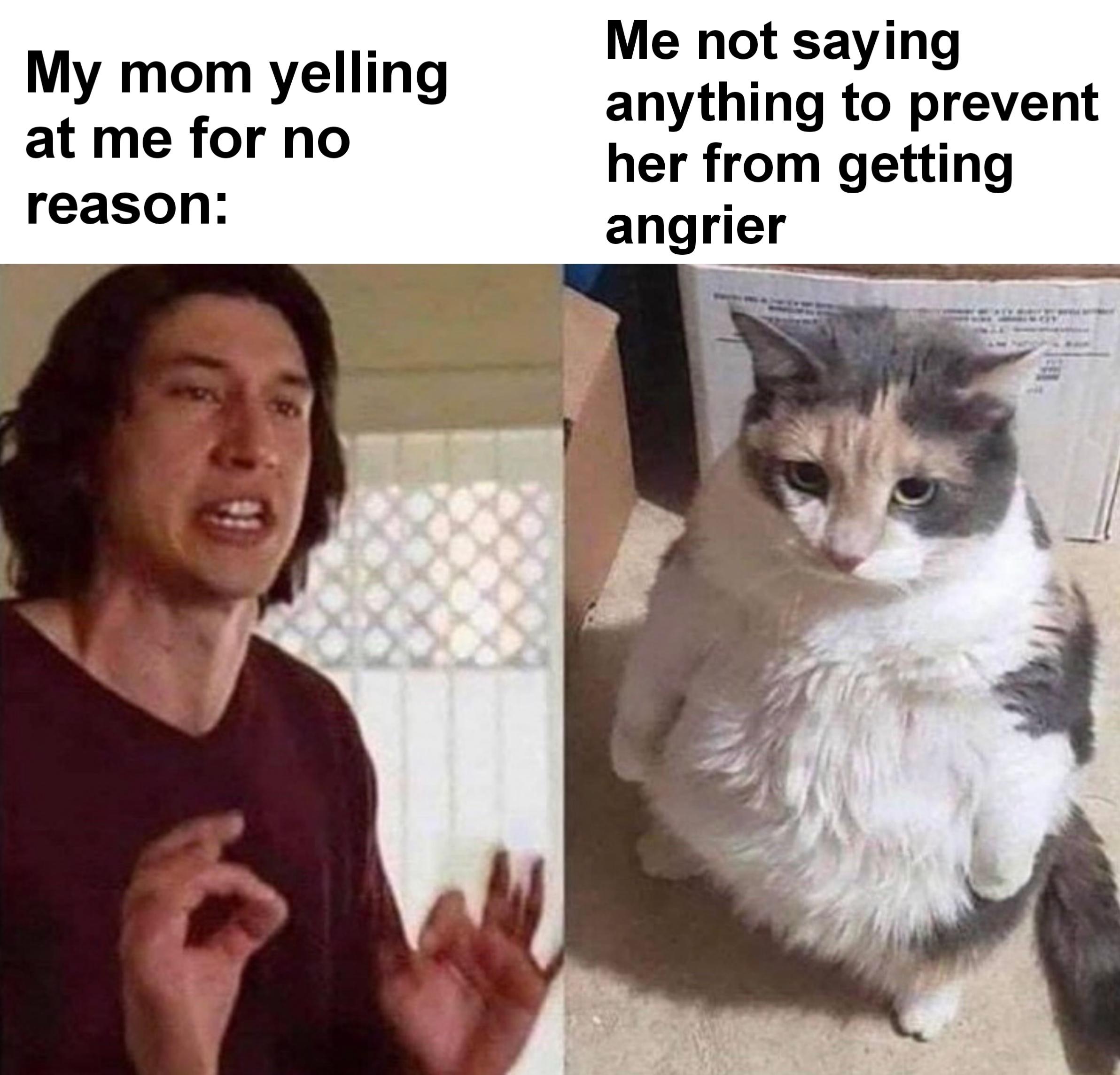 I'm Sorry Mom | Know Your Meme