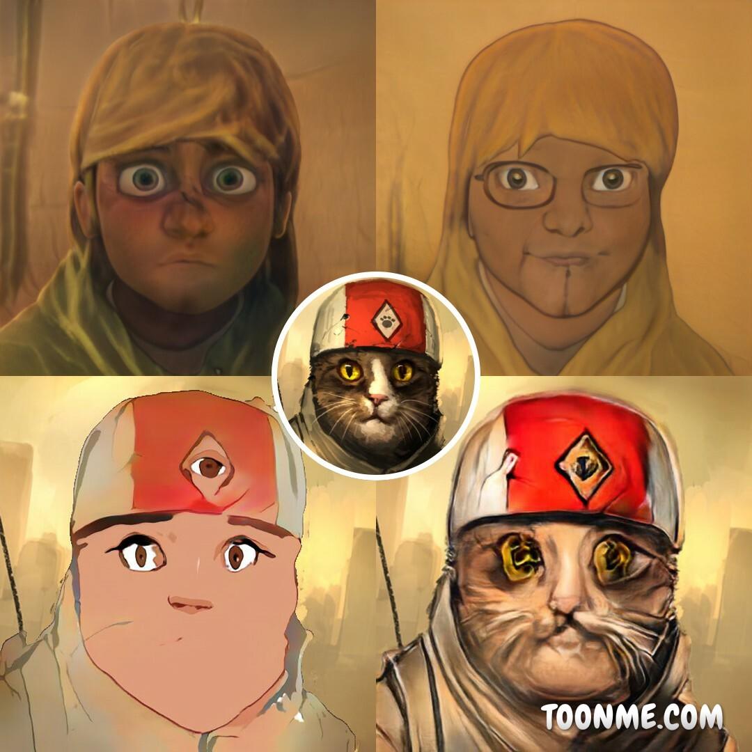 Kitteh | Toonme | Know Your Meme