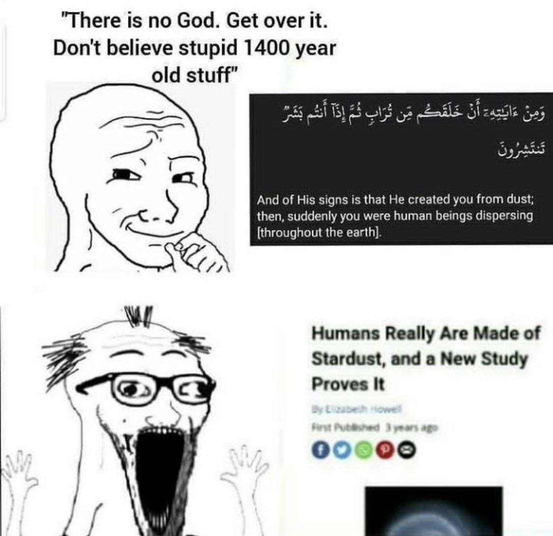 soyjak (scienctism) | Soy Boy Face / Soyjak | Know Your Meme