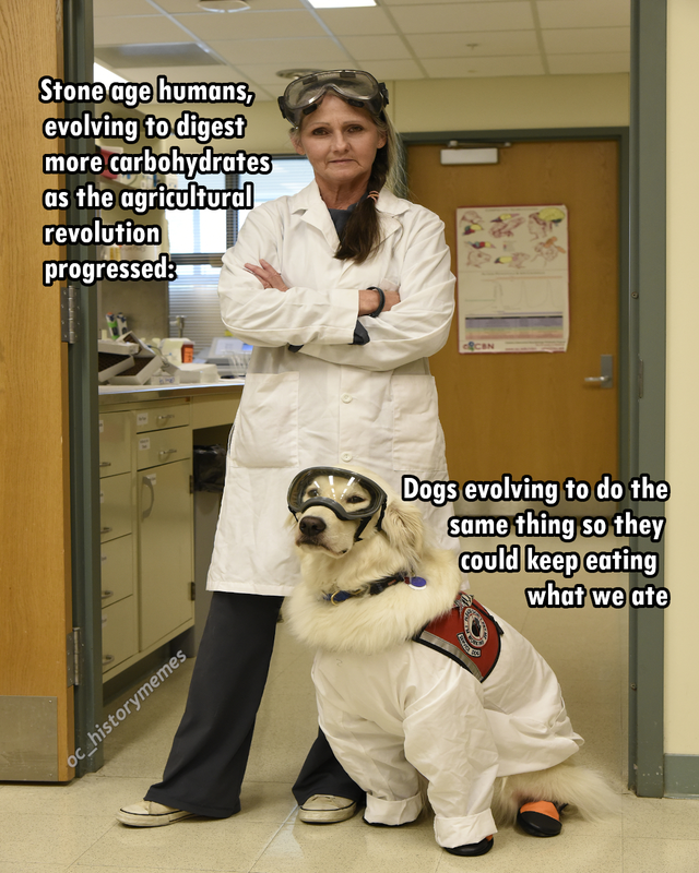 Table Scraps Since the Stone Age | Know Your Meme