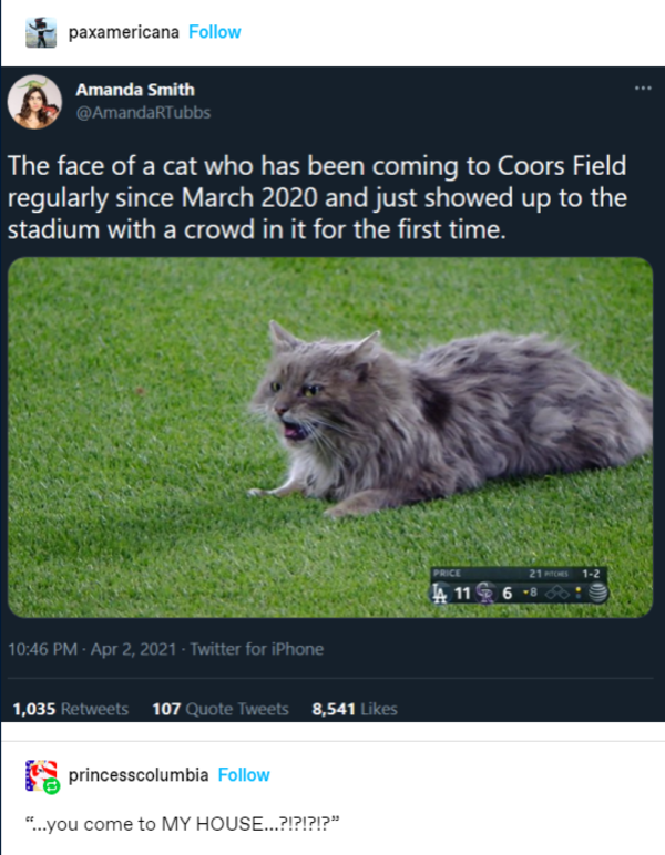 Trespassing | Tumblr | Know Your Meme