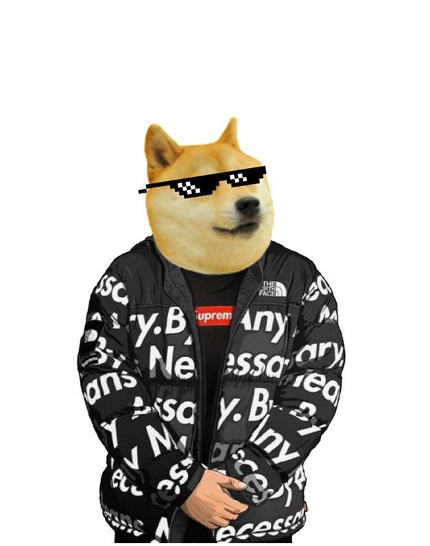 Le absolute drip has arrived | /r/dogelore | Ironic Doge Memes | Know ...