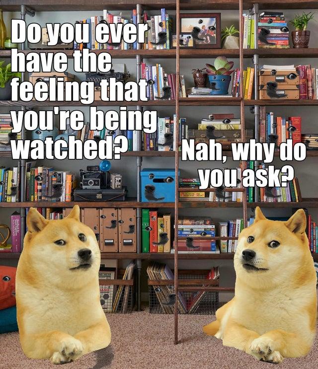 Being Watched | Dogelore | Know Your Meme