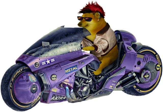 Cool Cheems | Dogelore | Know Your Meme