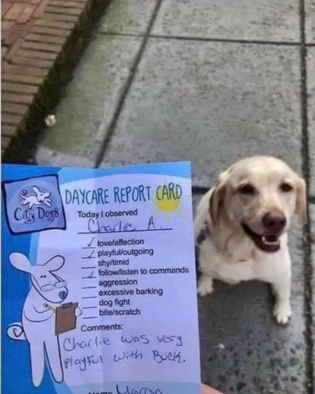 Blessed_Report Card | Blessed Image | Know Your Meme