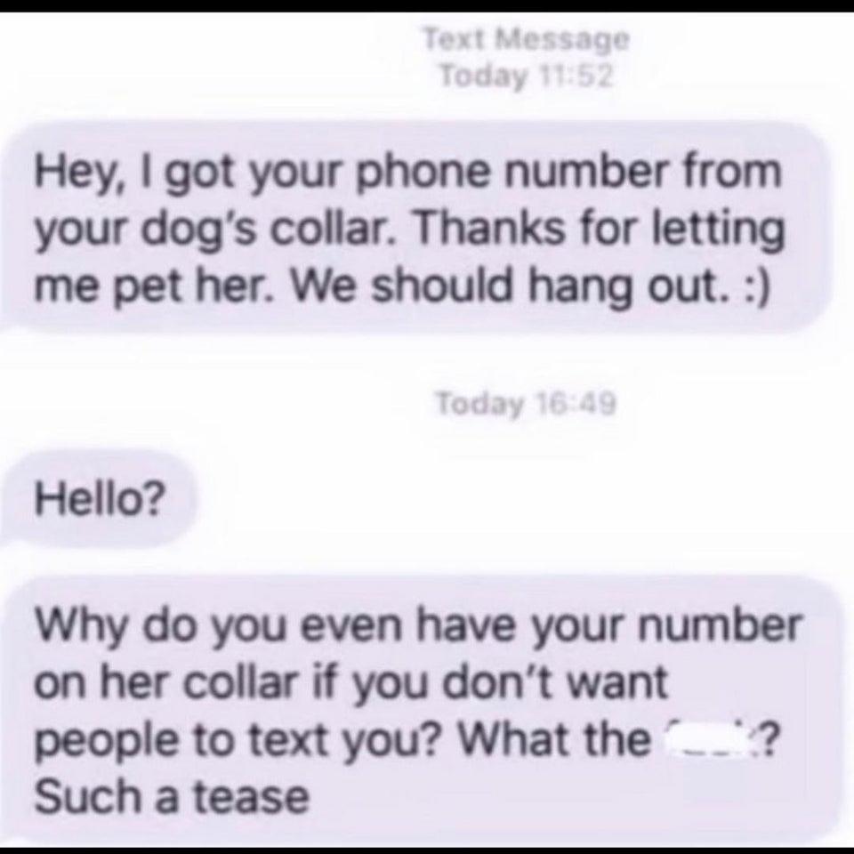 Lost Dog | Know Your Meme