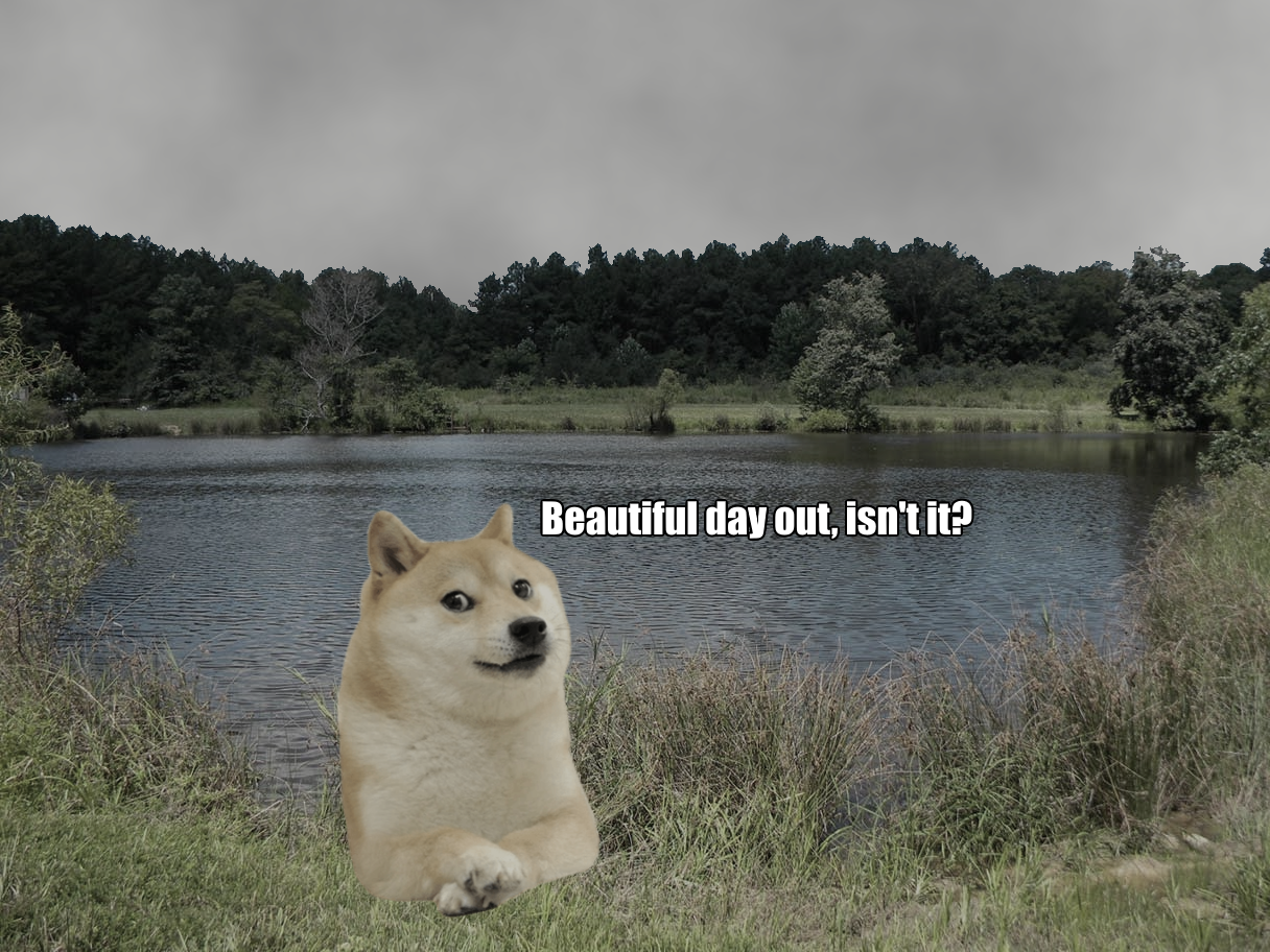 Le wonderful weather has arrived | /r/dogelore | Ironic Doge Memes ...