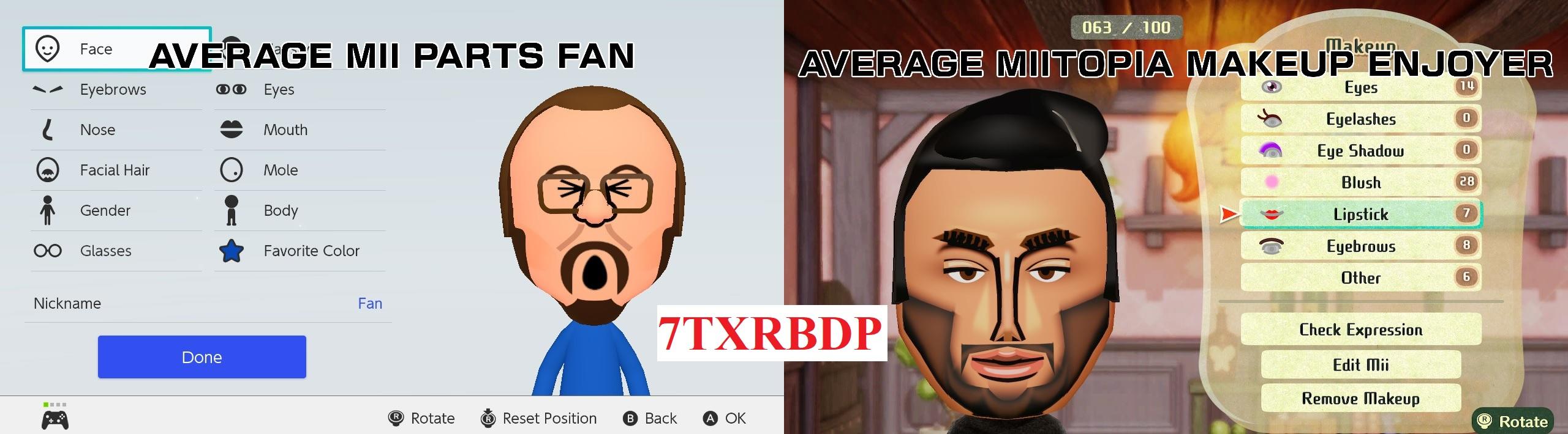 Average Mii Parts Fan vs Average Miitopia Makeup Enjoyer | Miitopia Mii ...