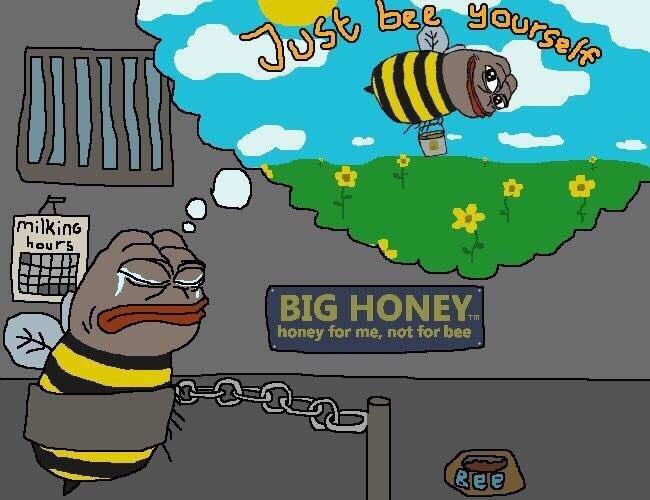 Big Honey | Pepe the Frog | Know Your Meme