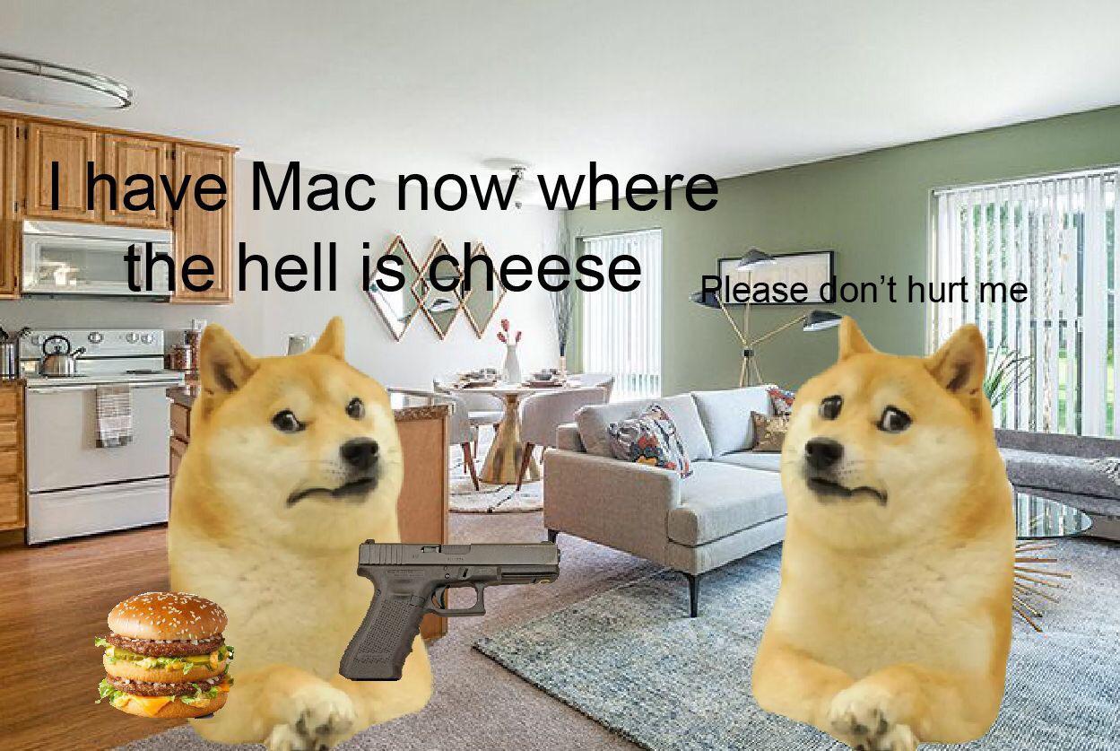 Where is cheese!?! | /r/dogelore | Ironic Doge Memes | Know Your Meme